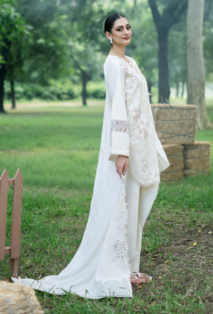 Zephyr - D07 – Humdum