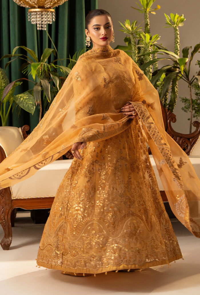 HOC - D05 – Humdum