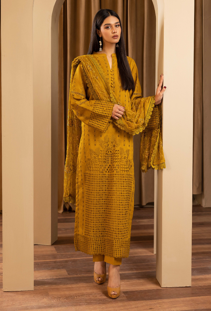 Elegant Chikankari - D05 – Humdum